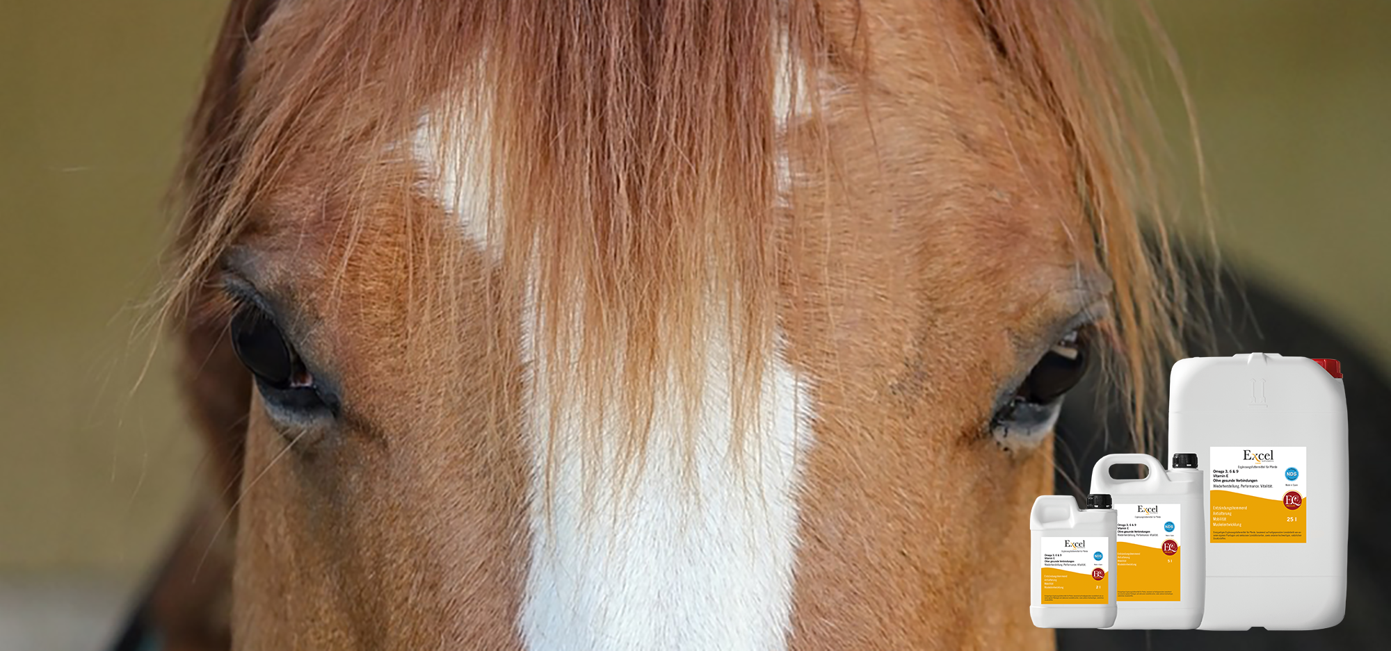 HOME - Excel Supplements