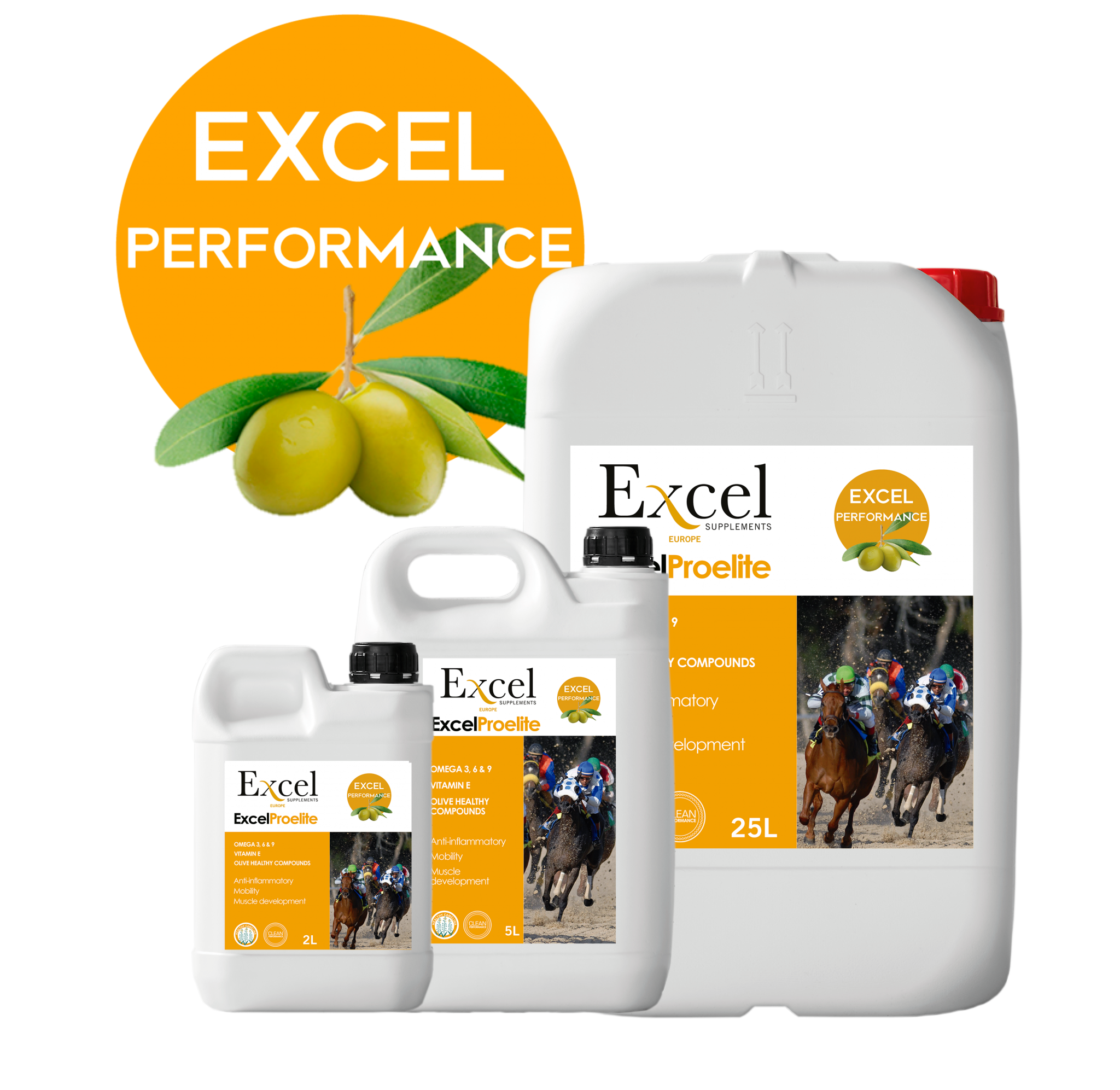 Excel ProElite - Excel Supplements
