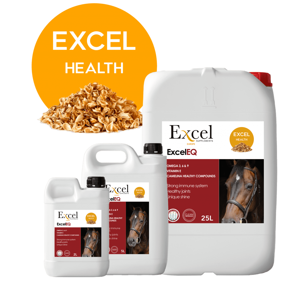Excel EQ - Excel Supplements