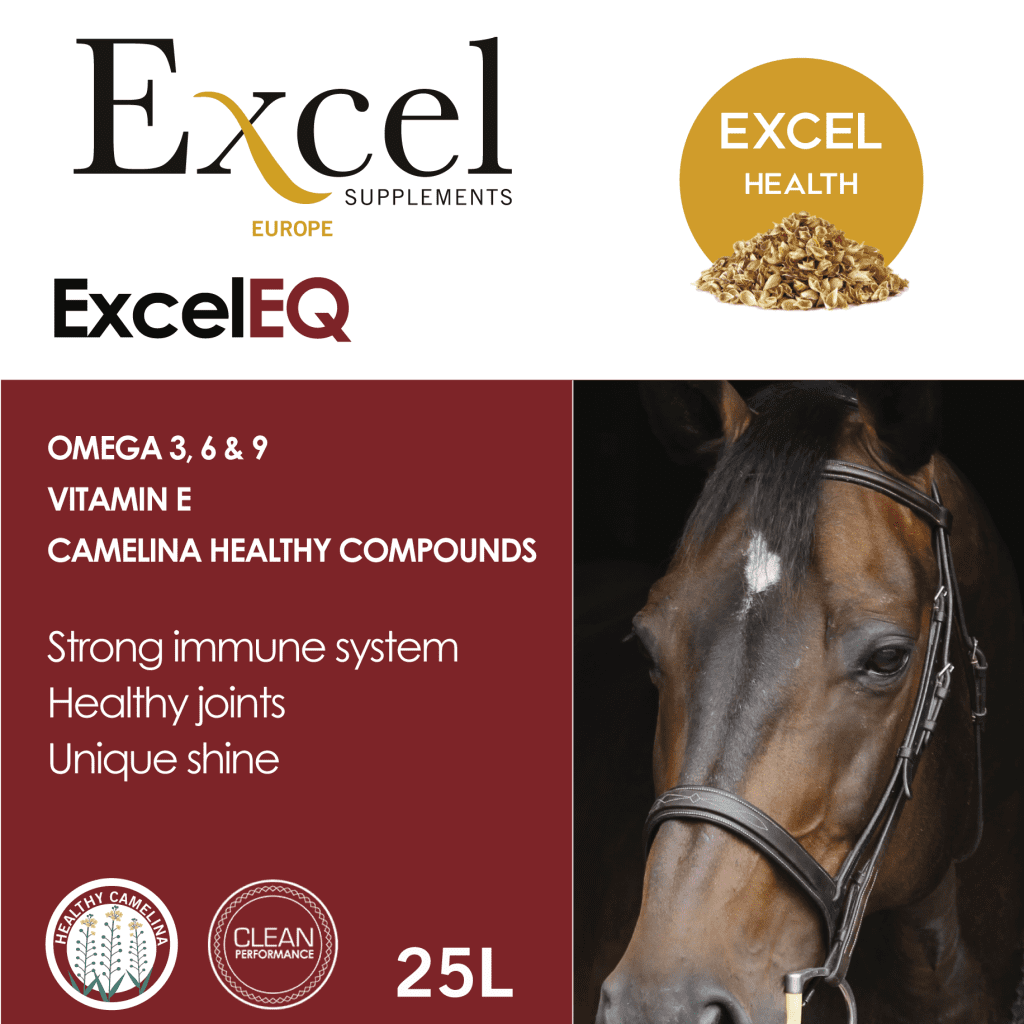 Excel EQ - Excel Supplements