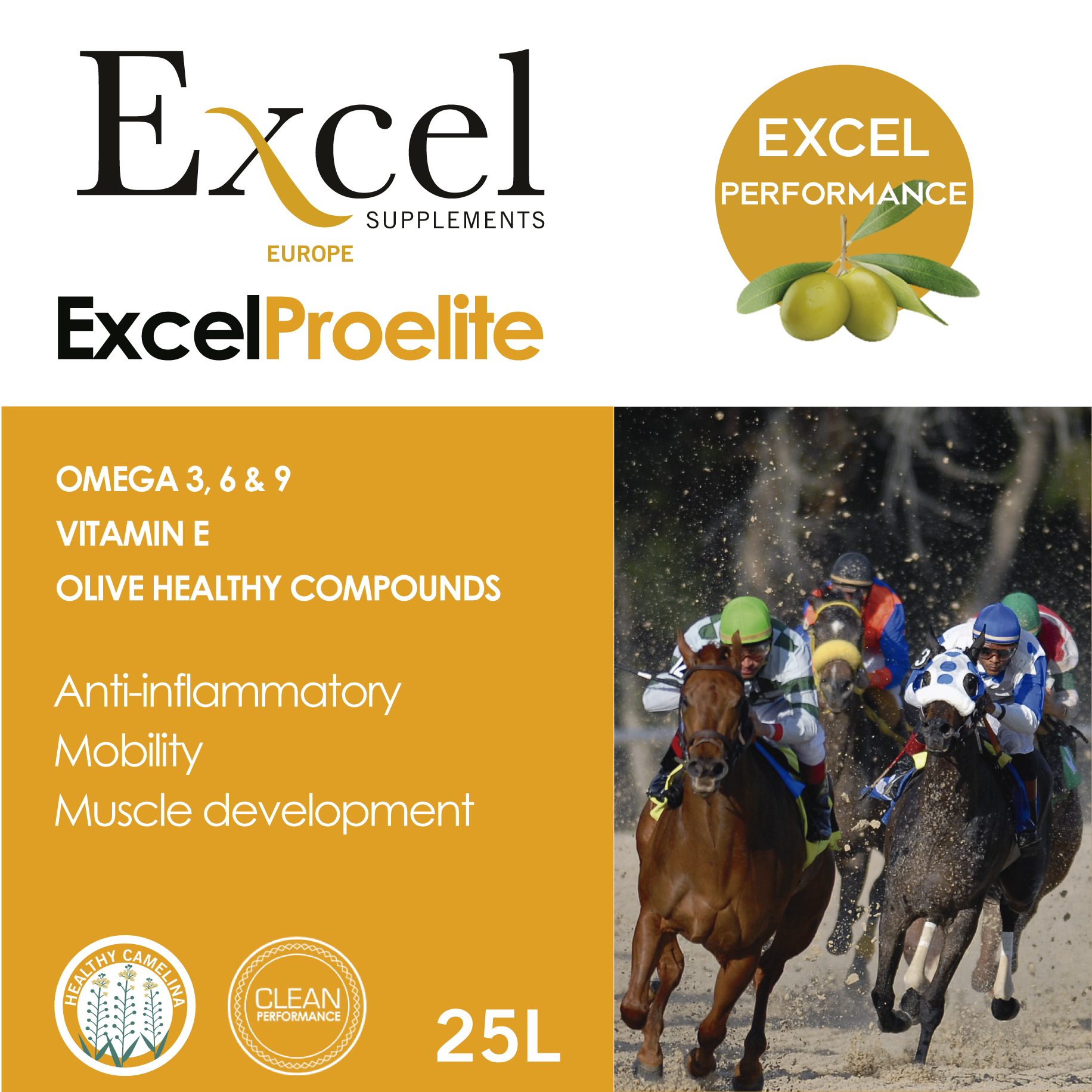 Excel ProElite - Excel Supplements