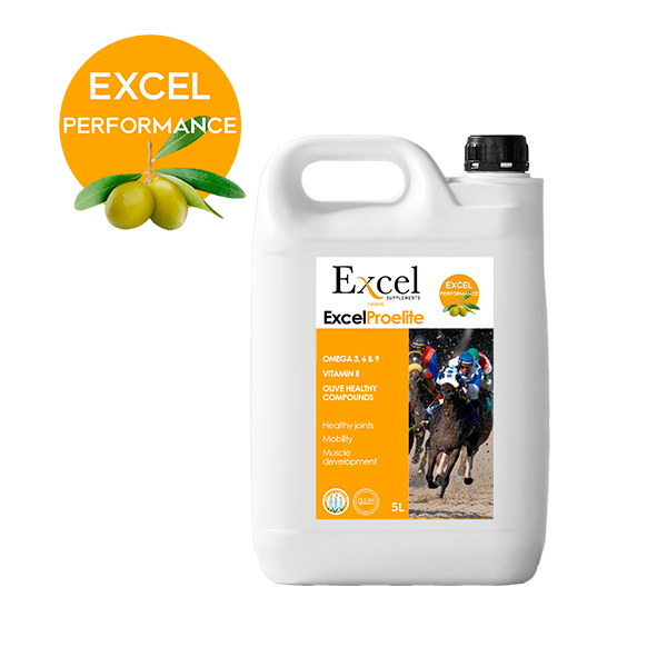 Excel ProElite - Excel Supplements