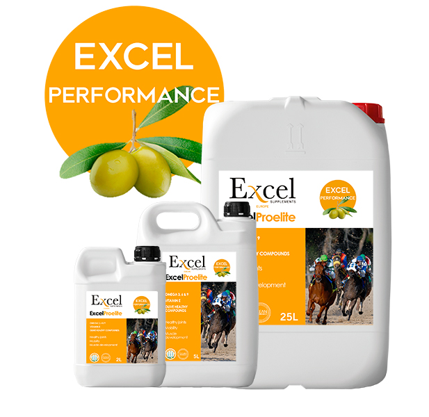 Excel ProElite - Excel Supplements