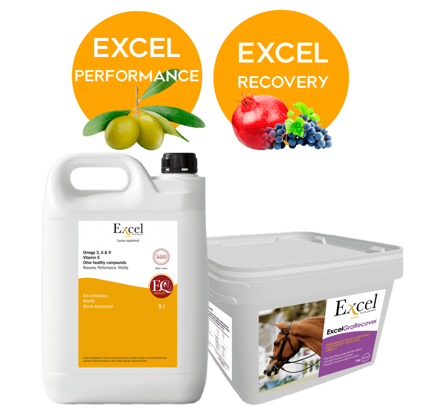 Products archivo - Excel Supplements